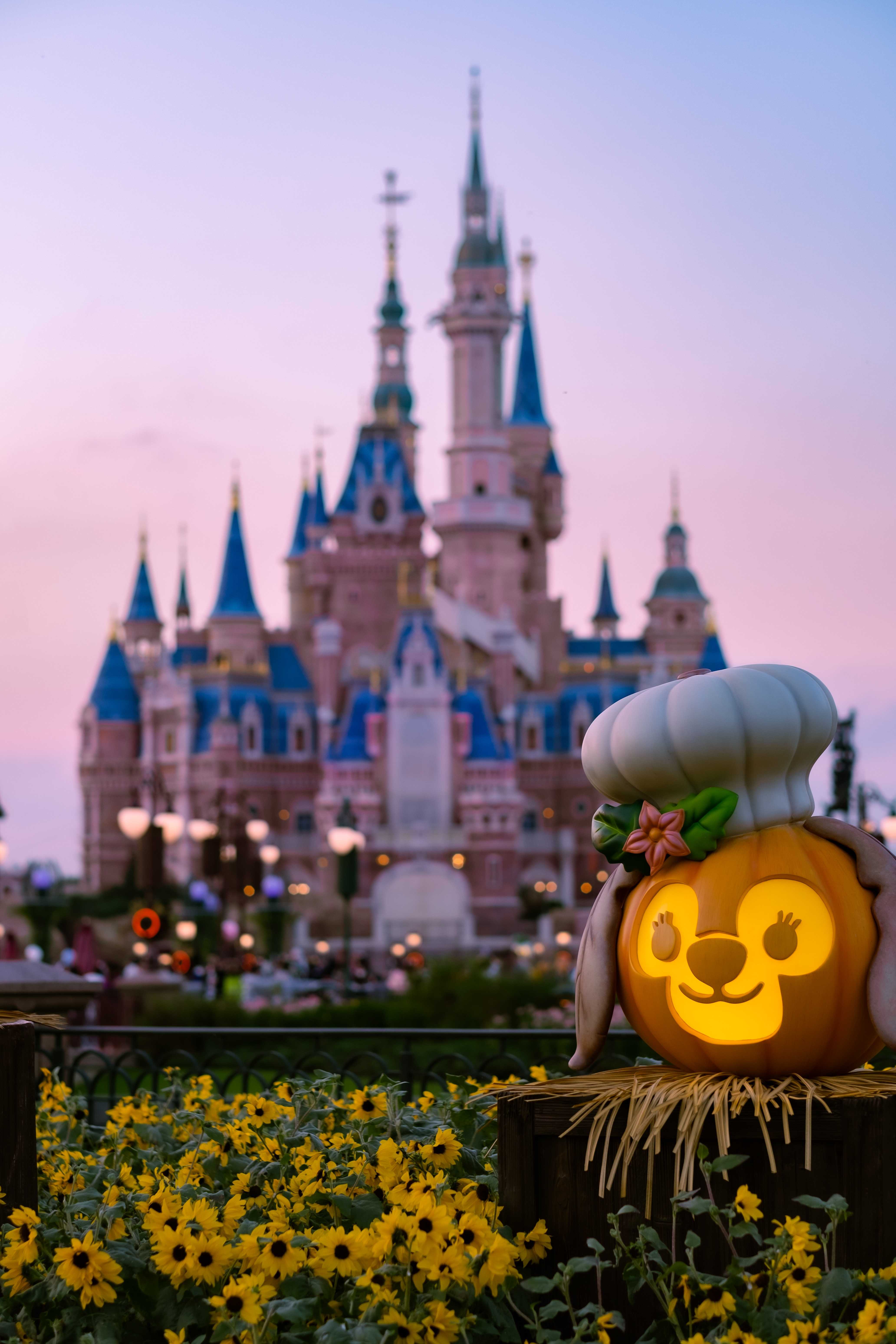 魅力上海 || CCF CAD/CG 2023 CCF 第 26 届全国计算机辅助设计与图形学学术会议